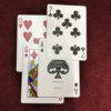 Sorting a Deck of Cards - Chris Annable